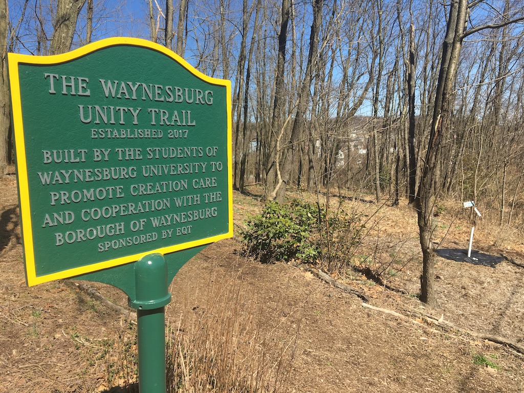 Celebration Tree Day to plant memories on Unity Trail - The Yellow Jacket