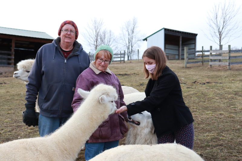 Un-ALPACA-ing the story of Lena Galing - The Yellow Jacket