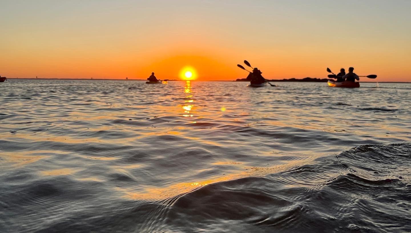 More than a Service Learning Trip: A Rocha Marine Conservation - The ...